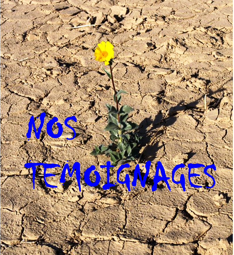 Rubrique CdDi : Comment se reconstruire intérieurement? - Faby Amazone